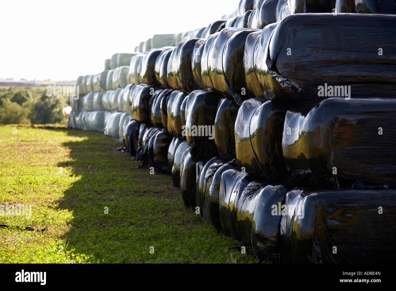 Wrapped Bale High Resolution Stock Photography and Images - Alamy