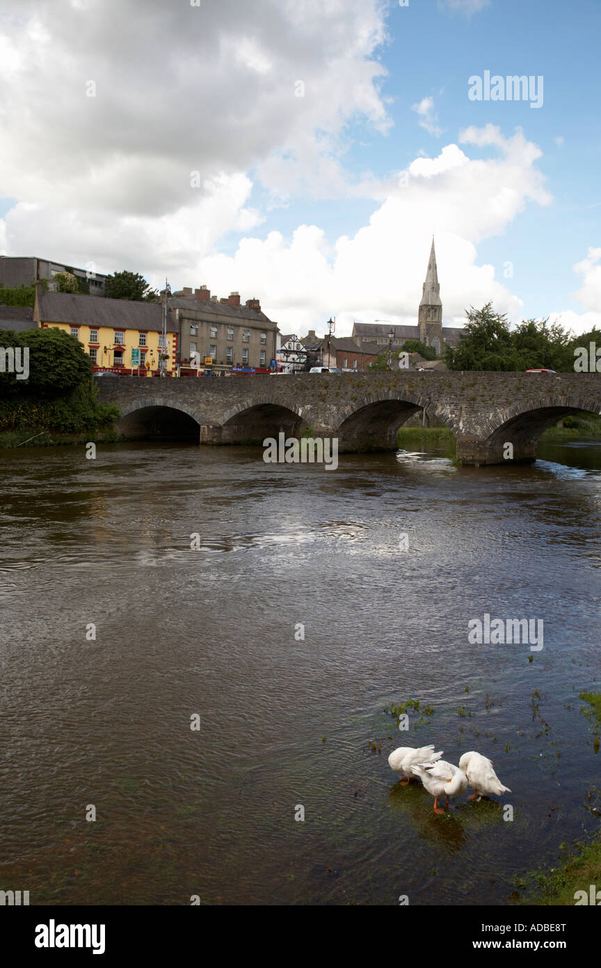 Enniscorthy castle county wexford ireland hi-res stock photography and ...