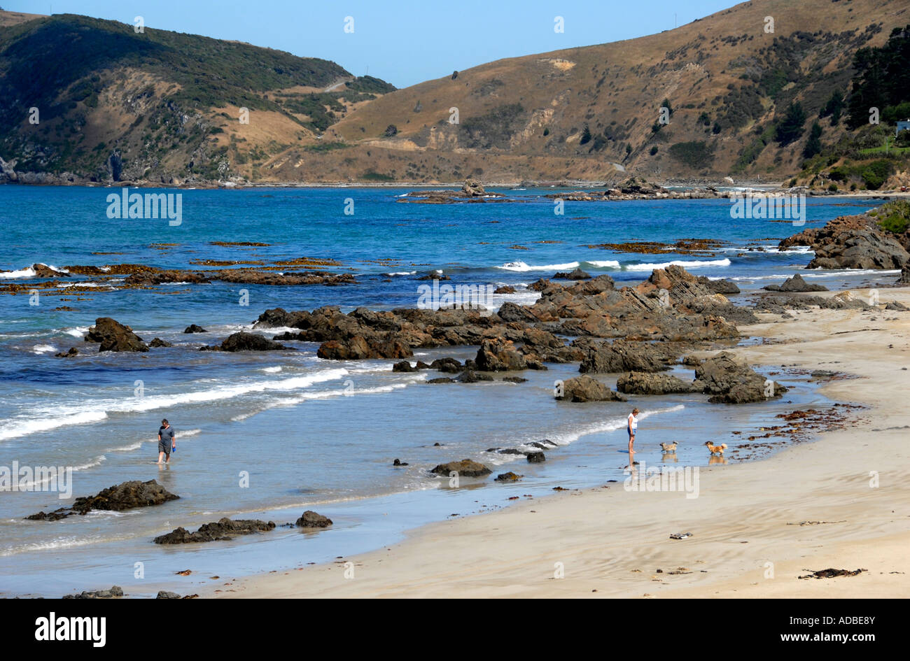 Kaka point beach hi-res stock photography and images - Alamy