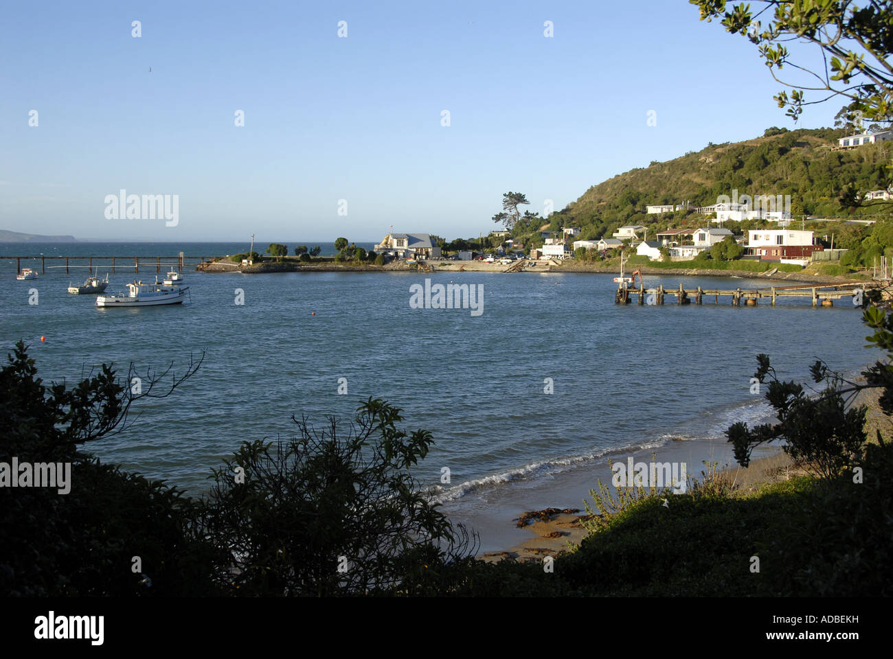 Moeraki harbour hi-res stock photography and images - Alamy