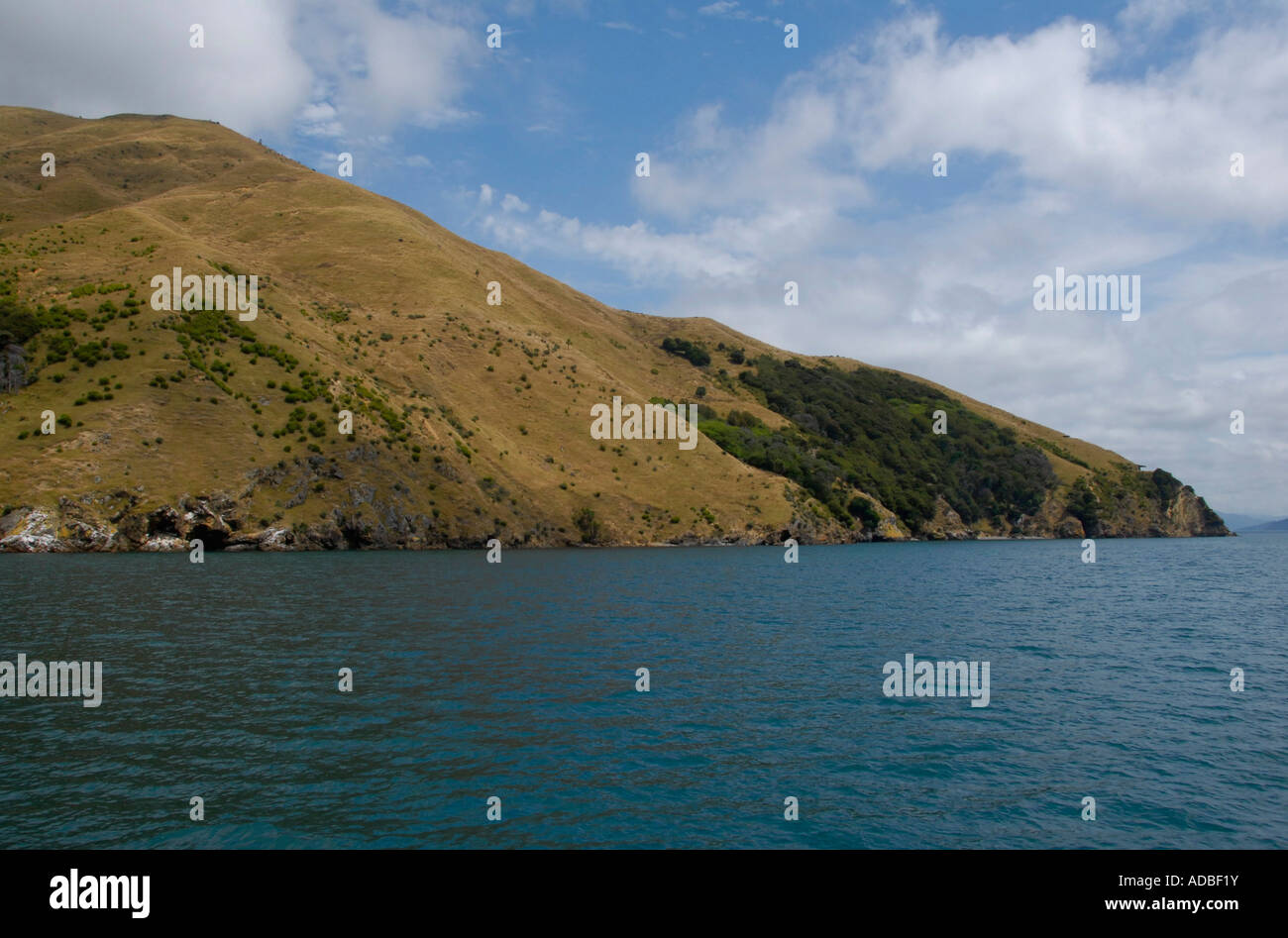 Pelorus Sound South Island New Zealand Stock Photo - Alamy