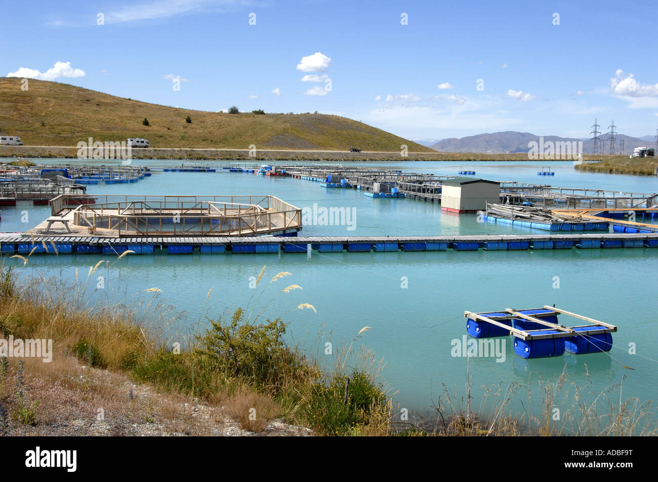 New zealand salmon farm hi-res stock photography and images - Alamy
