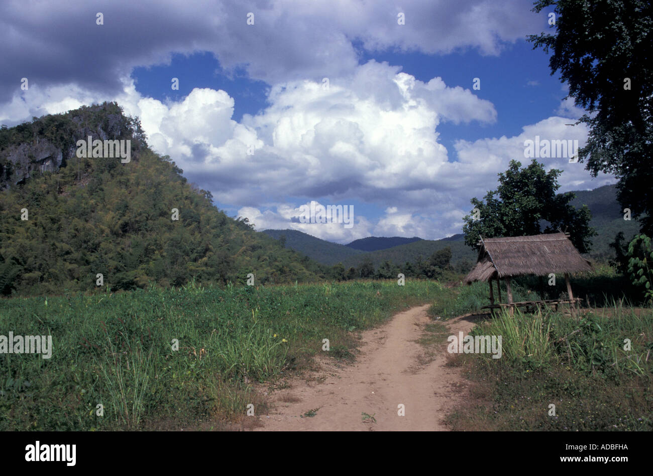 Thai landscape with traditional village house Stock Photo - Alamy
