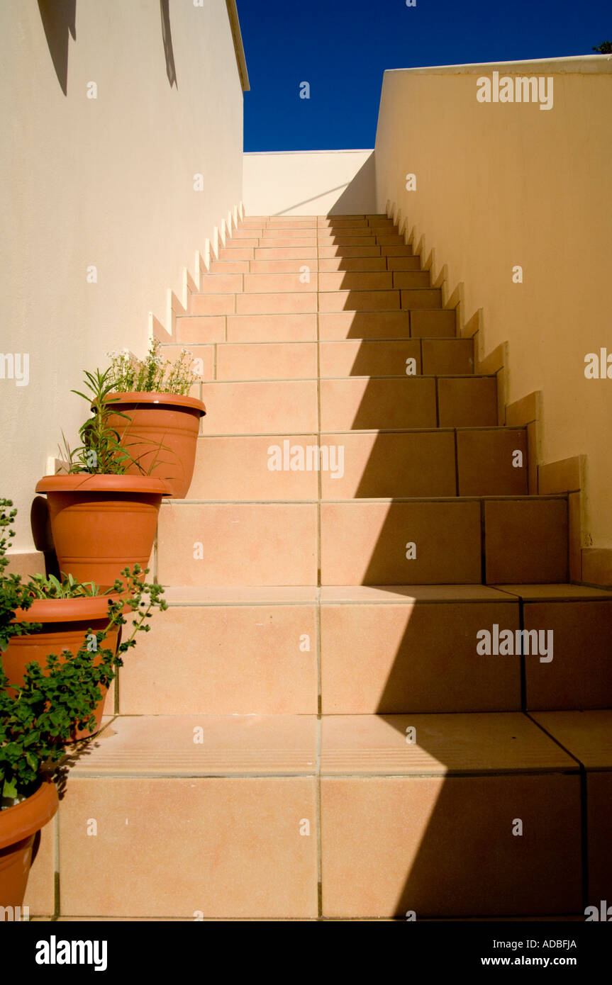 Leading to terracotta pot hi-res stock photography and images - Alamy