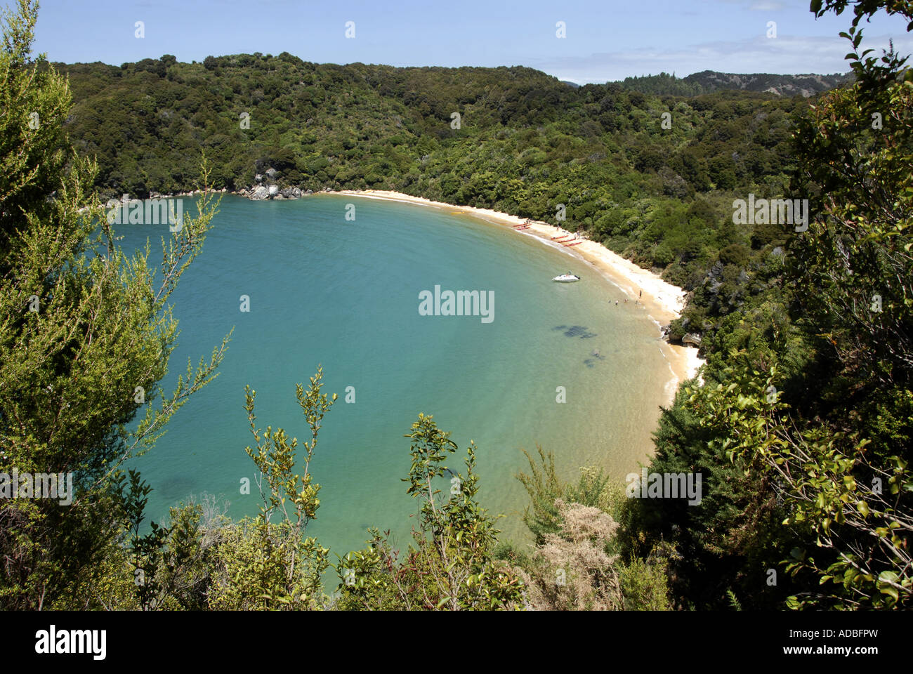 Te pukatea bay abel national hi-res stock photography and images - Alamy