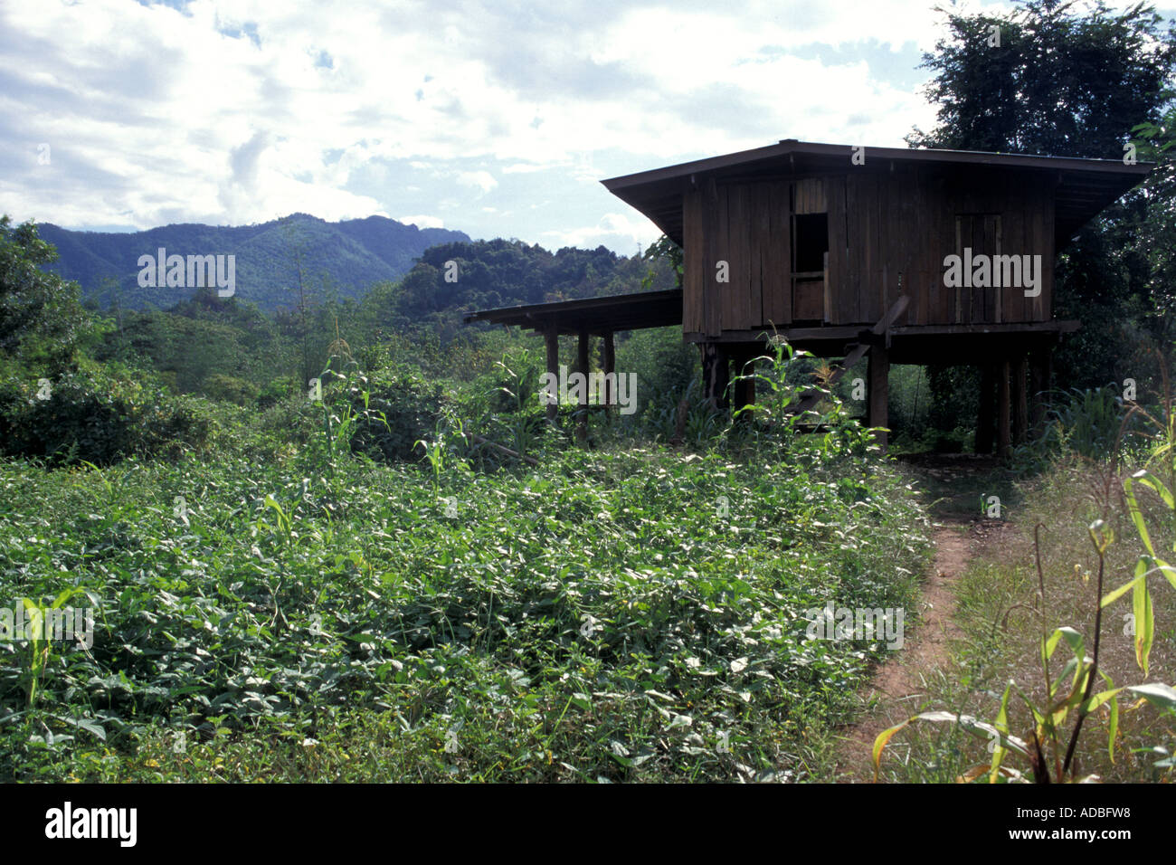 Traditional Thai house in Northern Thailand Stock Photo - Alamy