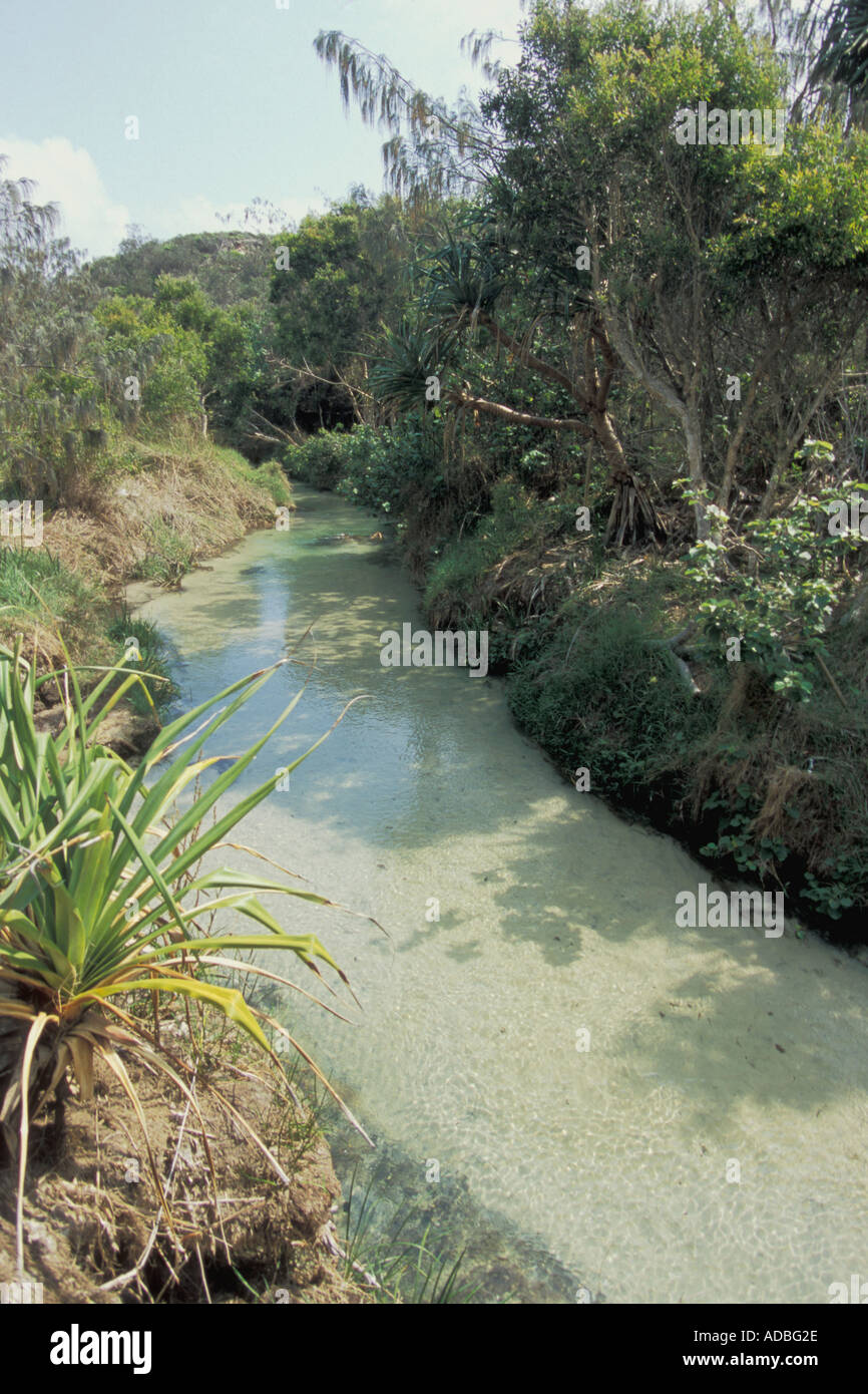 Eli creek fraser island hi-res stock photography and images - Alamy