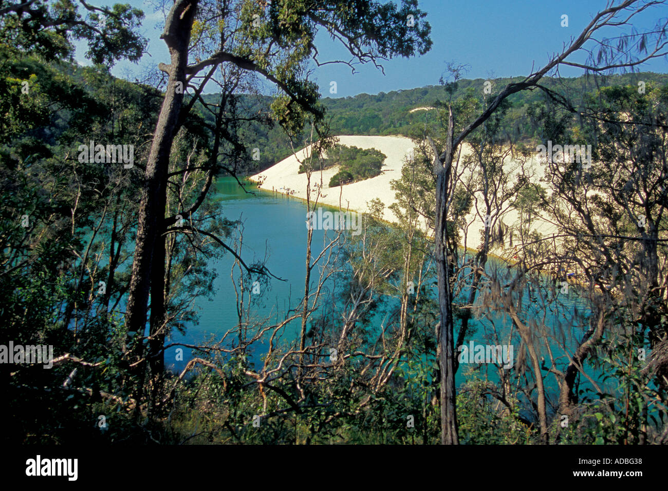 Lake Wabby Fraser Island Queensland Australia Stock Photo - Alamy