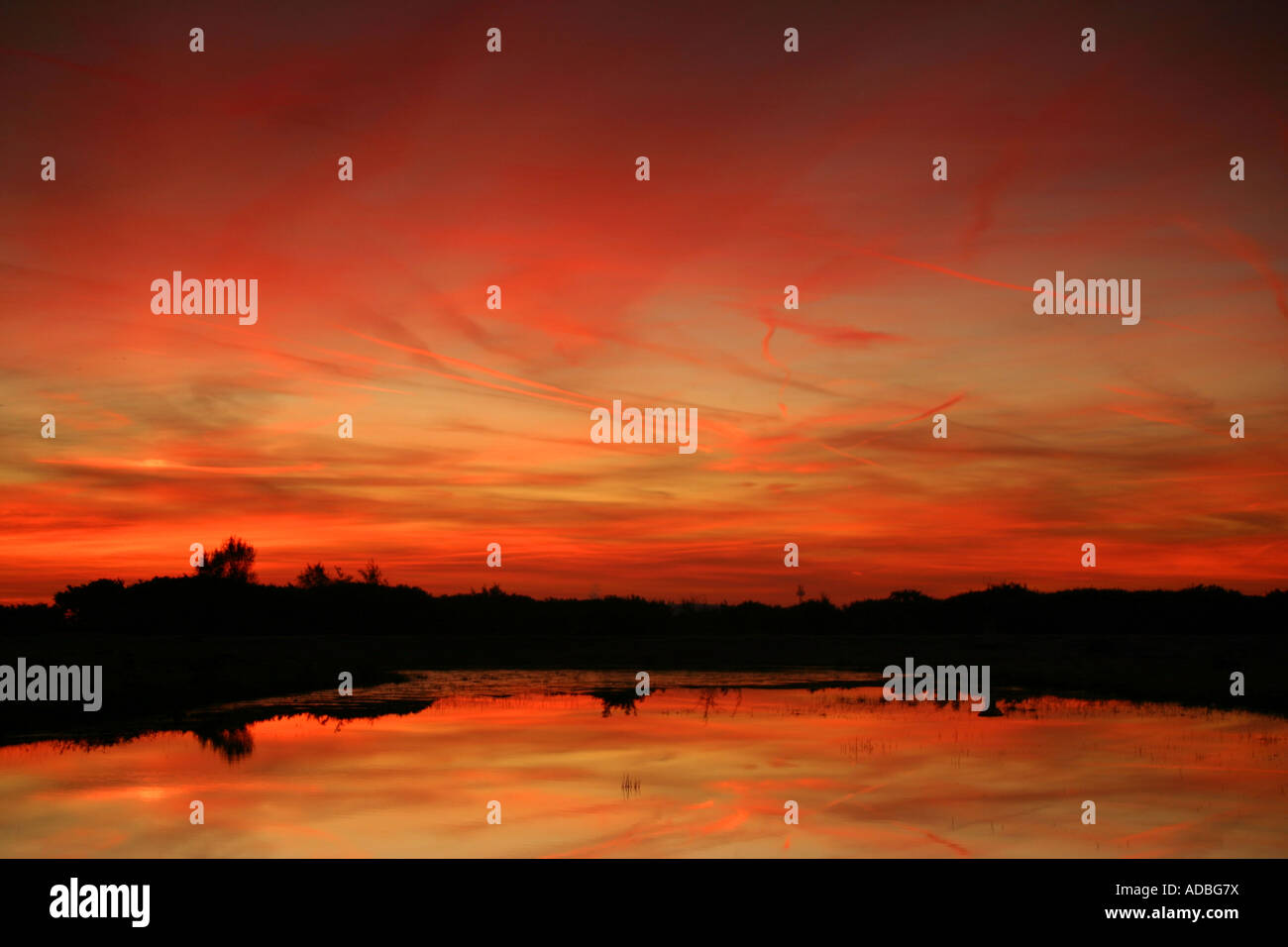 Red sunrise over Greenham park Stock Photo - Alamy