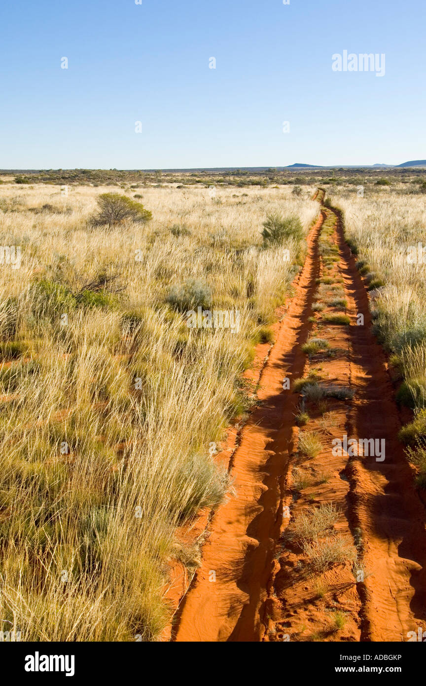 Late afternoon on the Canning Stock Route Western Australia Stock Photo ...