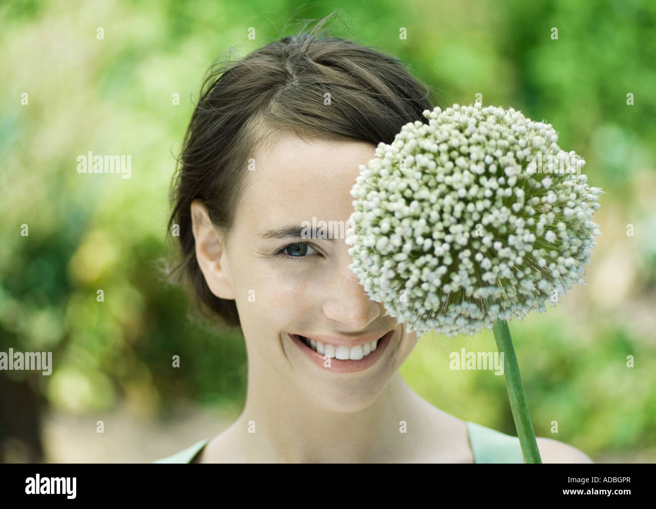 Sly flower view hi-res stock photography and images - Alamy