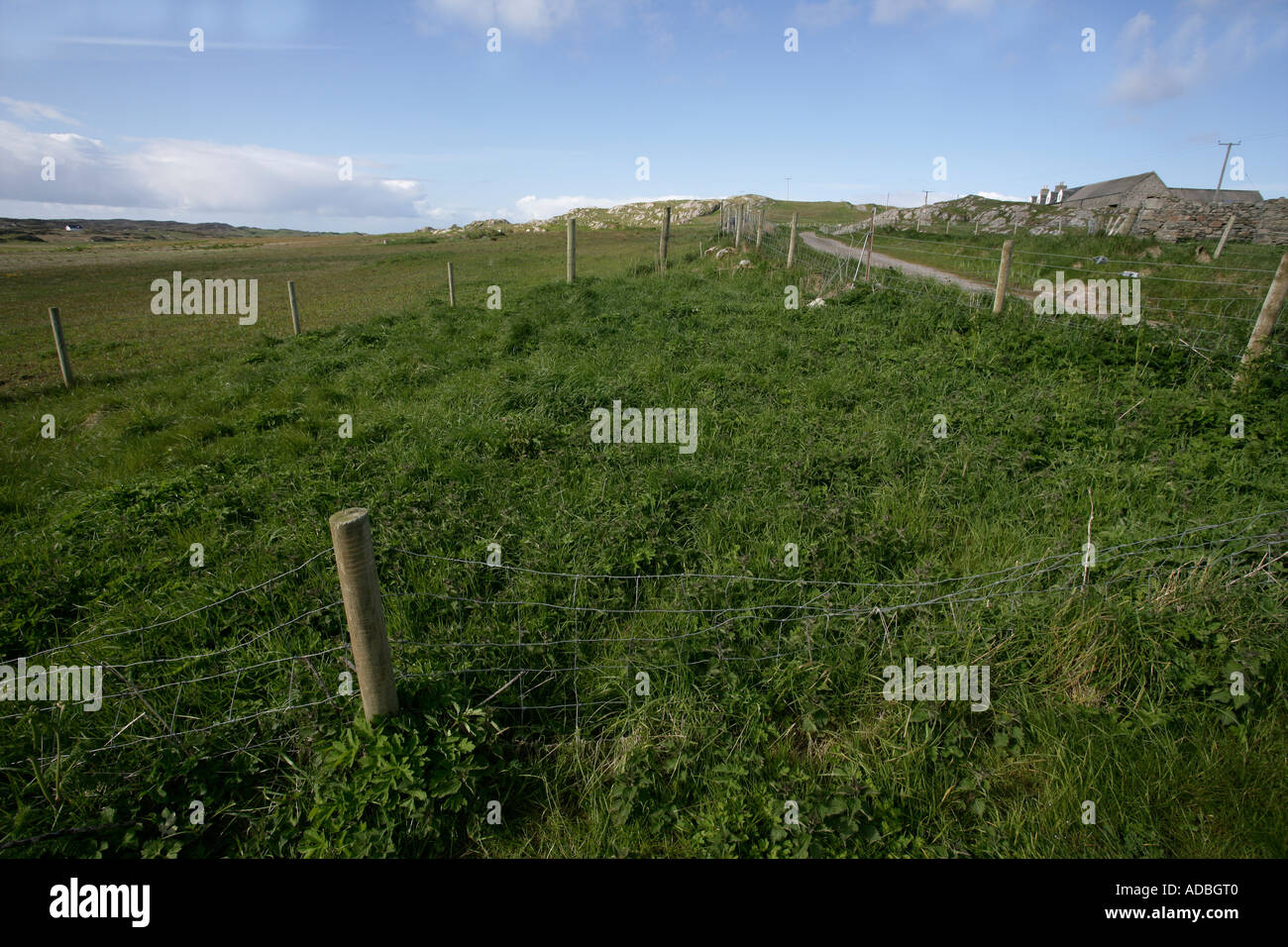 Corncrake habitat hi-res stock photography and images - Alamy