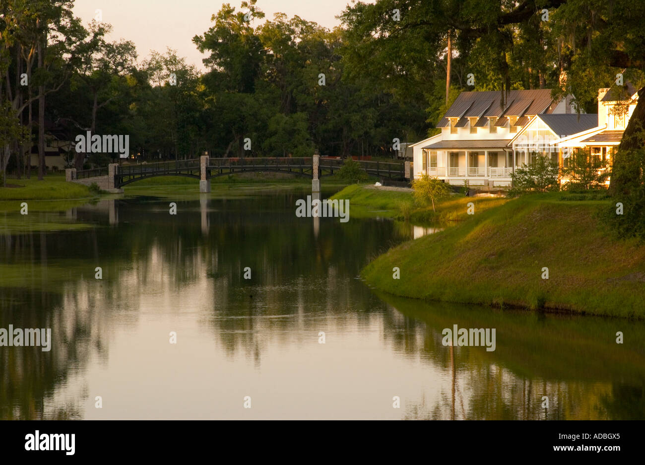 Palmetto bluff hi-res stock photography and images - Alamy