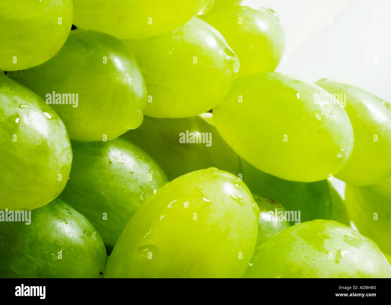 Grapes on white background Stock Photo - Alamy