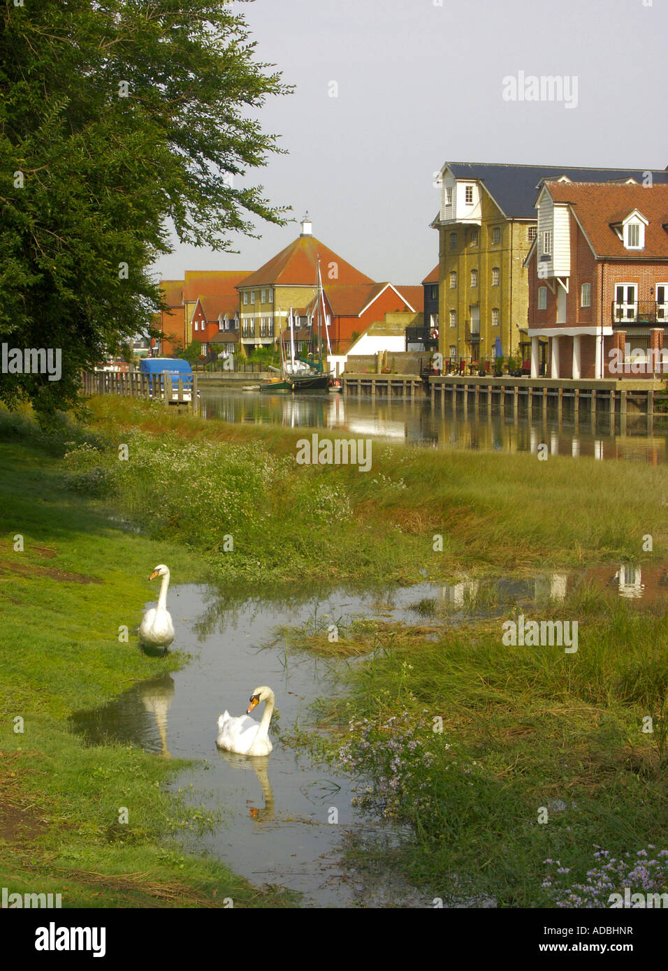 The quay faversham hi-res stock photography and images - Alamy