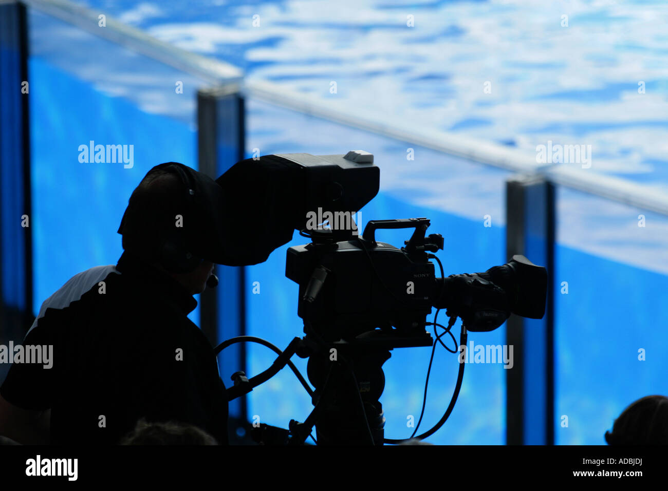 Video Camera Man at Sea World Orlando USA Stock Photo - Alamy