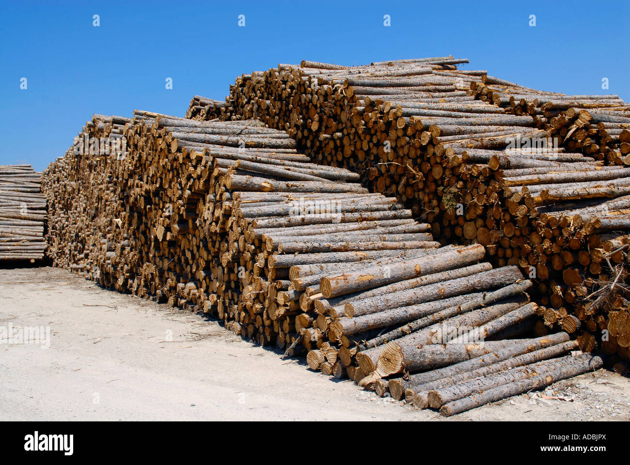 The logging industry near Escanaba in the Upper Peninsula of Michigan ...