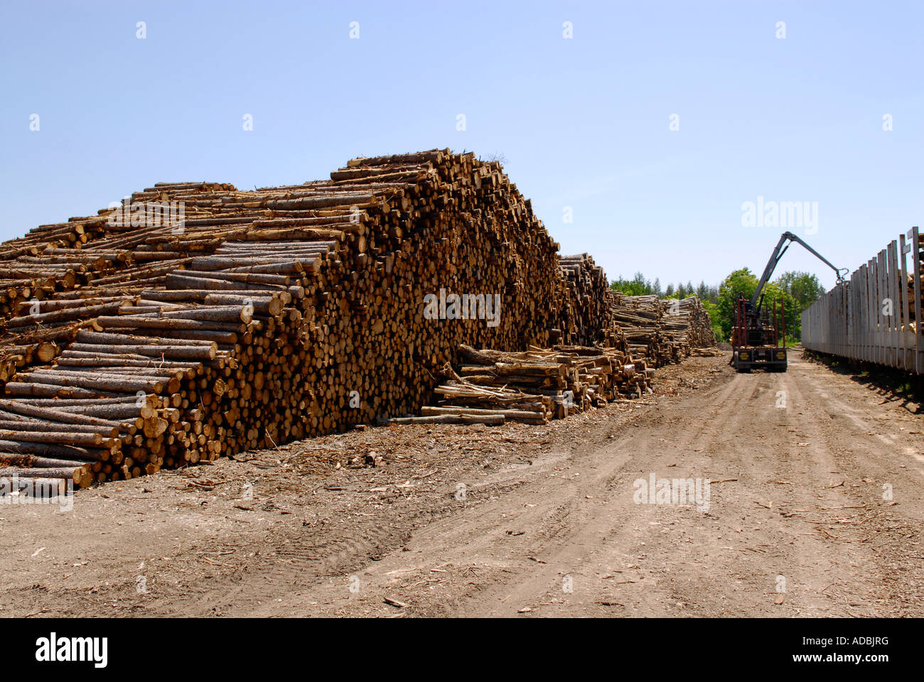 The logging industry near Escanaba in the Upper Peninsula of Michigan ...