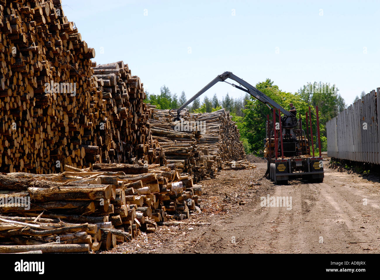 The logging industry near Escanaba in the Upper Peninsula of Michigan ...