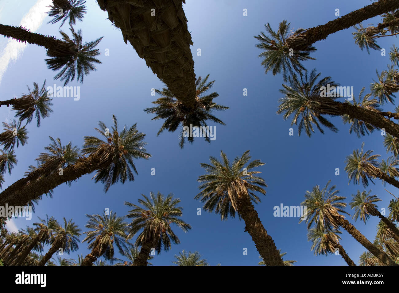 Death valley nationa park hi-res stock photography and images - Alamy