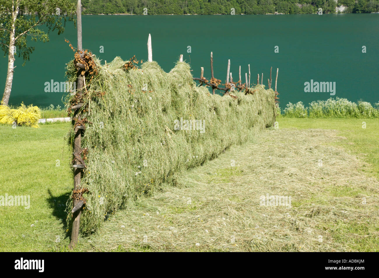 Hay Rack On Farm Stock Photos & Hay Rack On Farm Stock Images - Alamy