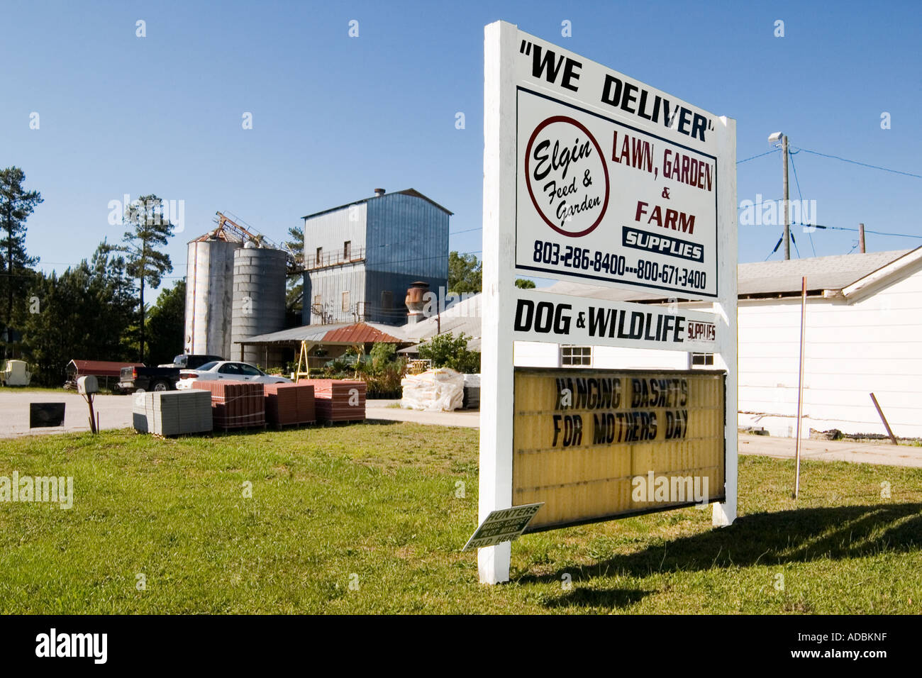 South carolina dog hi-res stock photography and images - Alamy