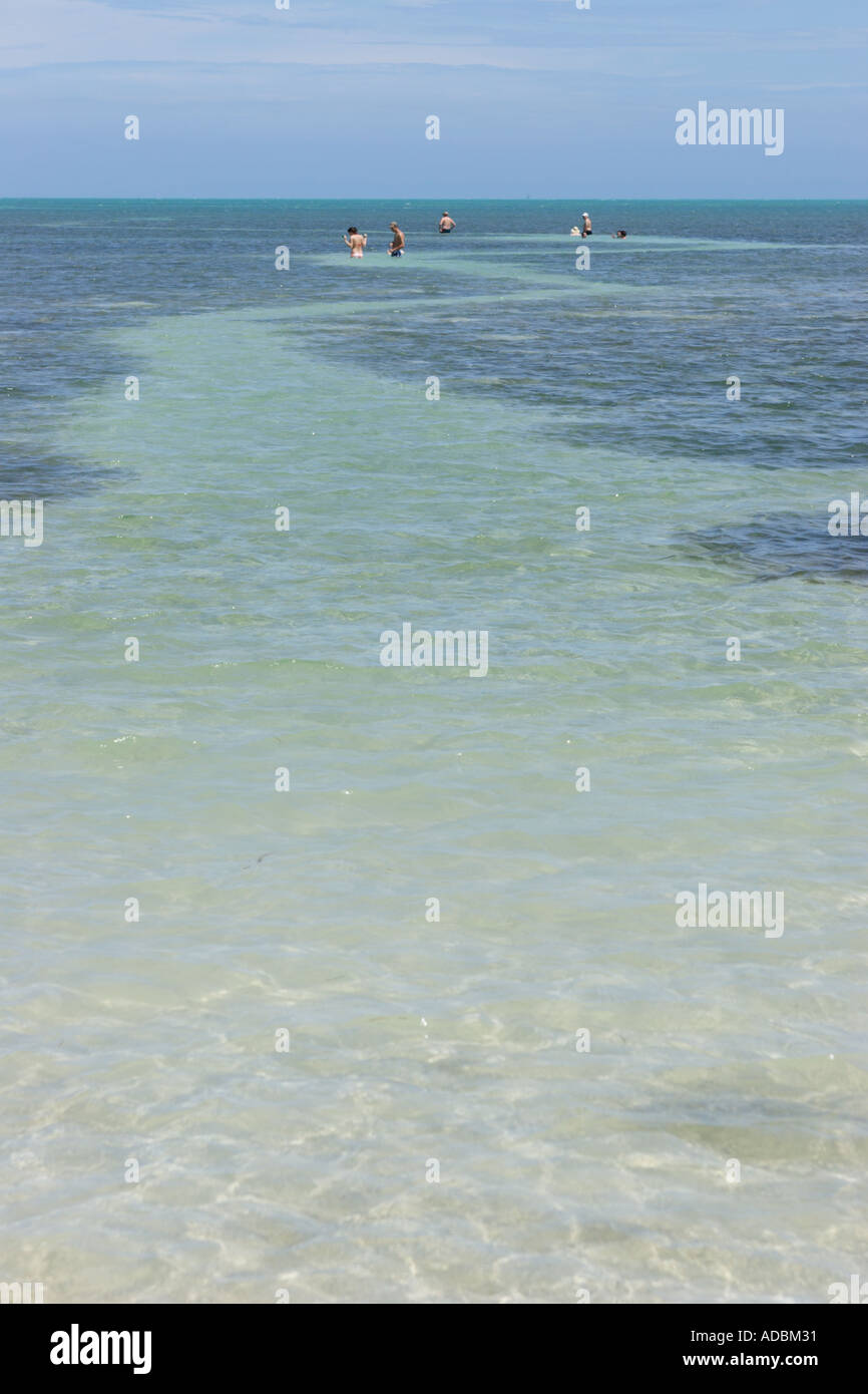 Lower keys hi-res stock photography and images - Alamy