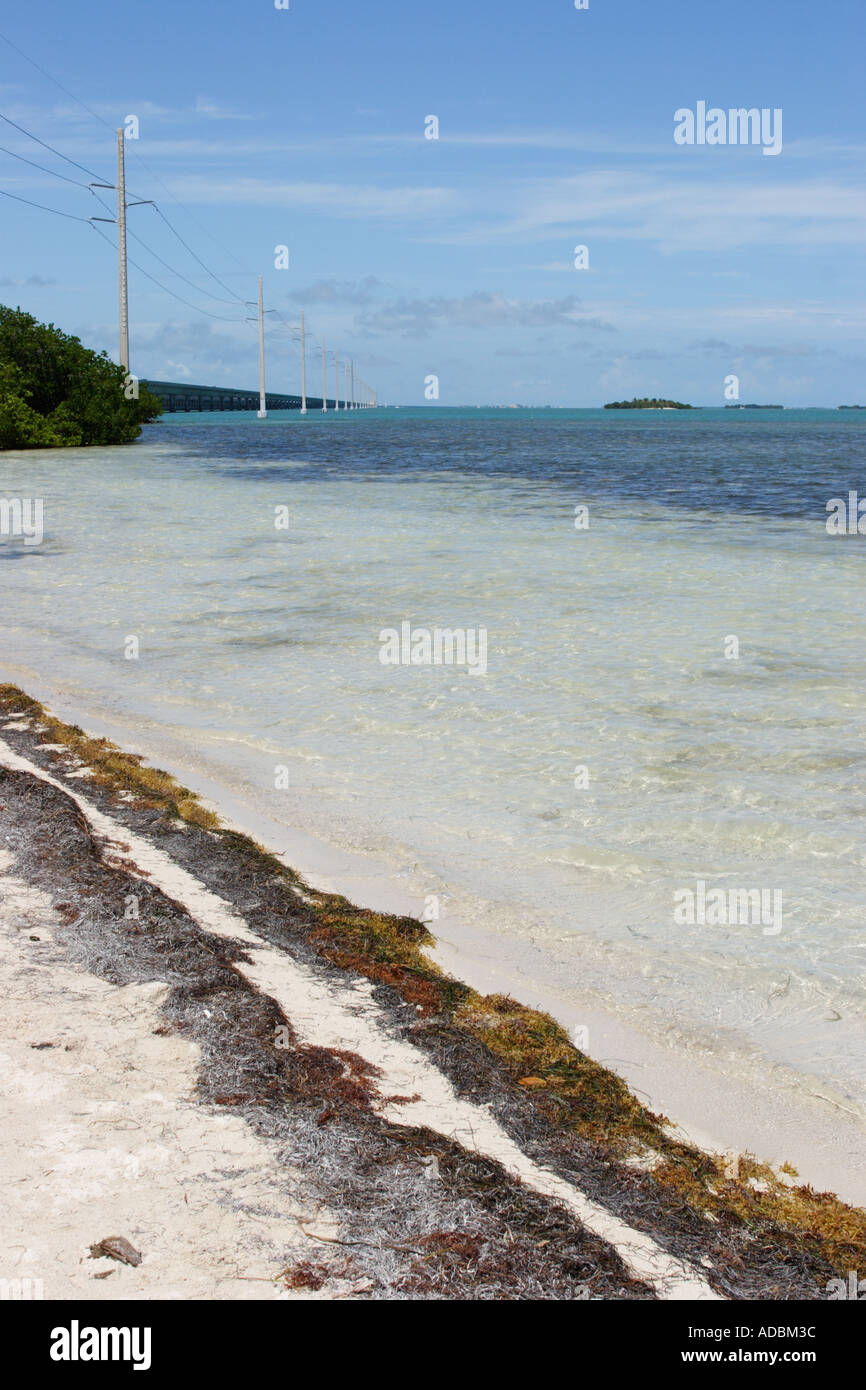 Little duck key florida keys hi-res stock photography and images - Alamy
