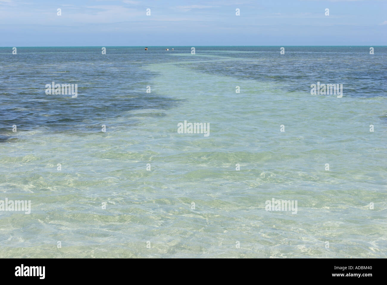 Florida Keys Little Duck Key Beach Lower Keys Florida USA Stock Photo ...