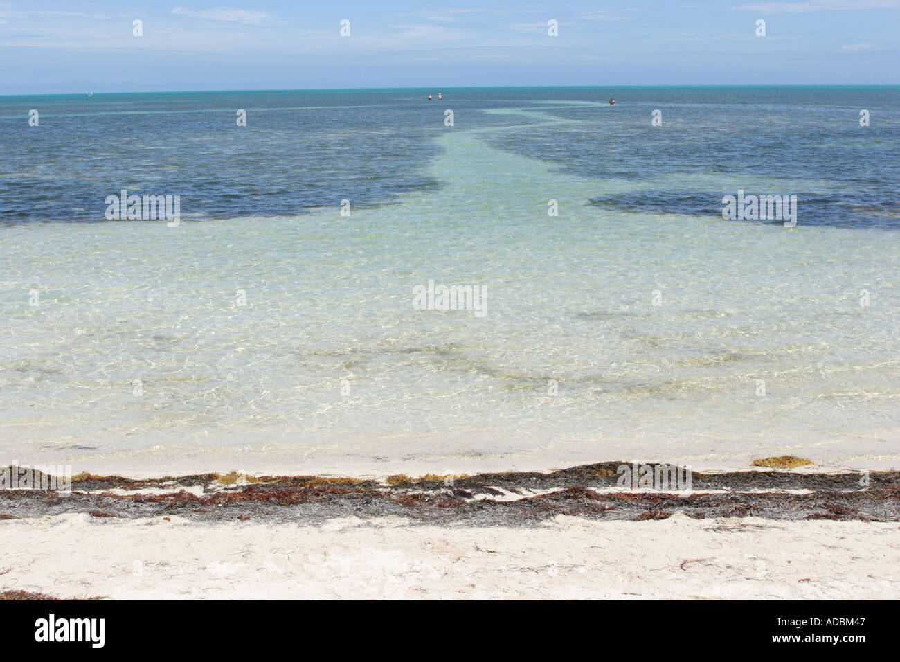 Florida Keys Little Duck Key Beach Lower Keys Florida USA Stock Photo ...