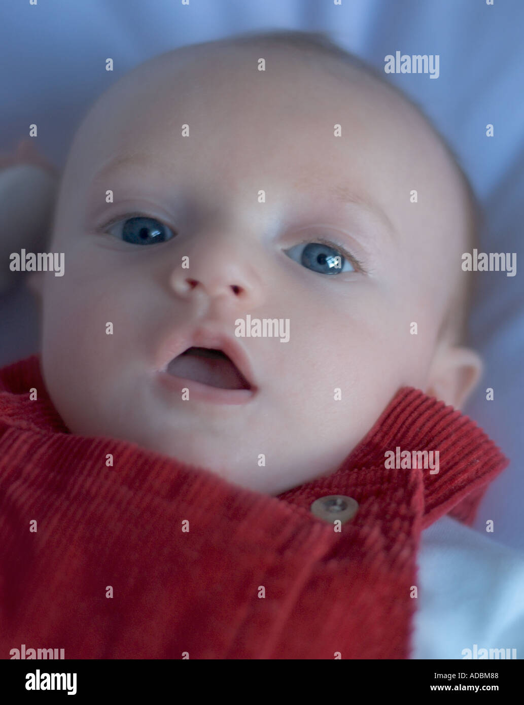 5-month-old-baby-boy-with-blue-eyes-and-red-dungarees-stock-photo-alamy