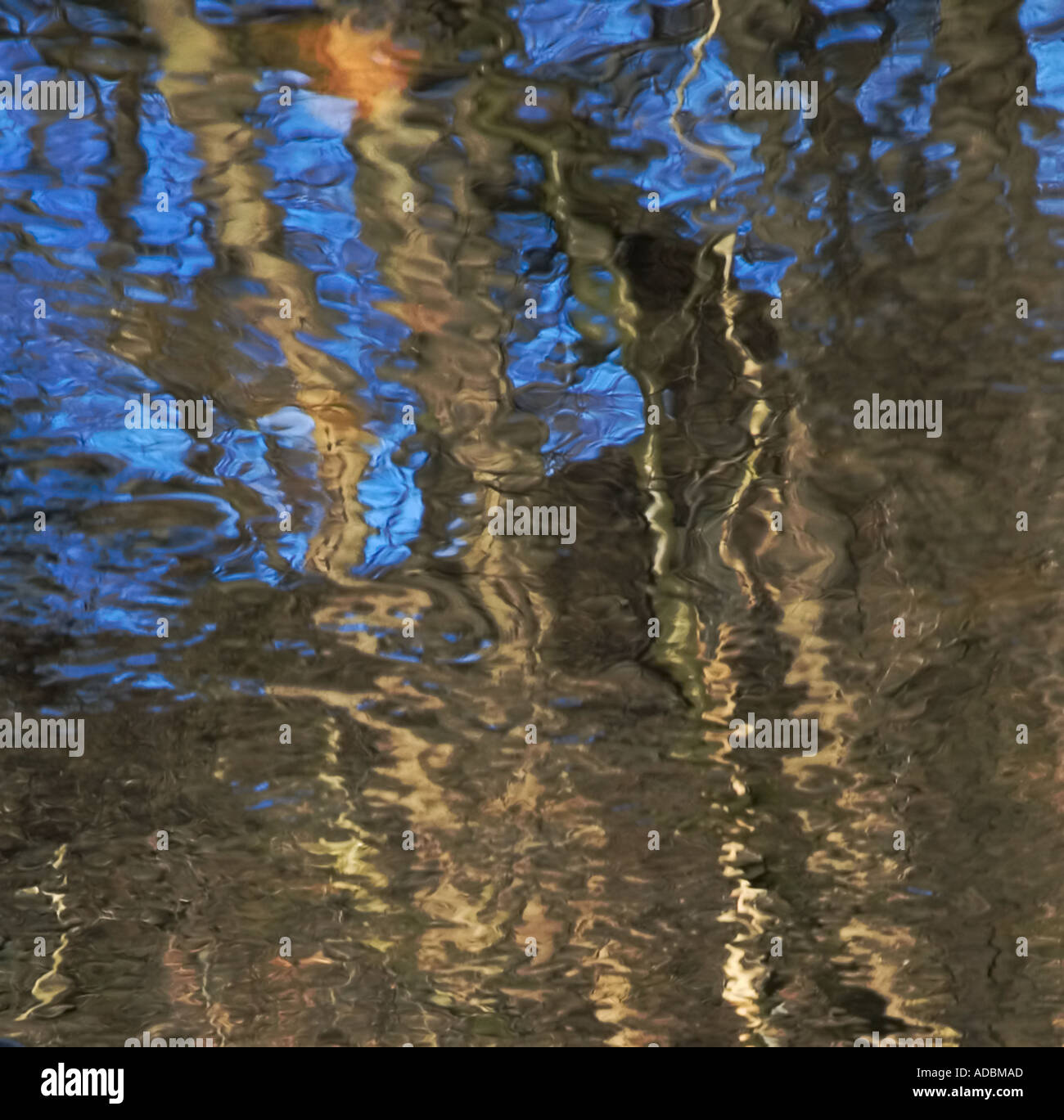 Reflection of trees on water Stock Photo - Alamy