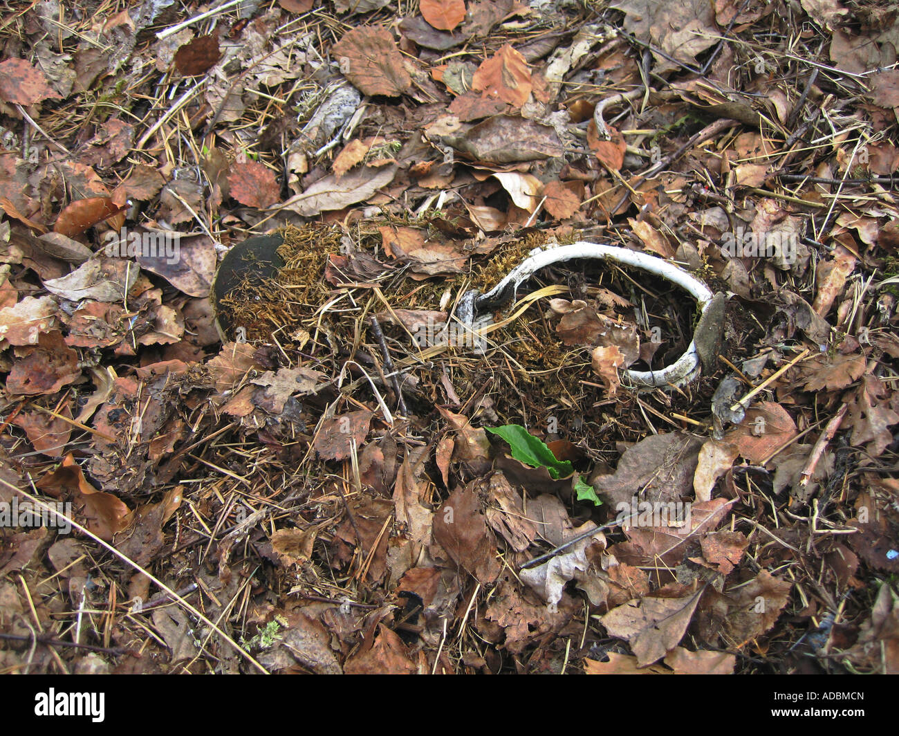 A lost boot buried in the undergrowth, "dont let the grass grow on you ...