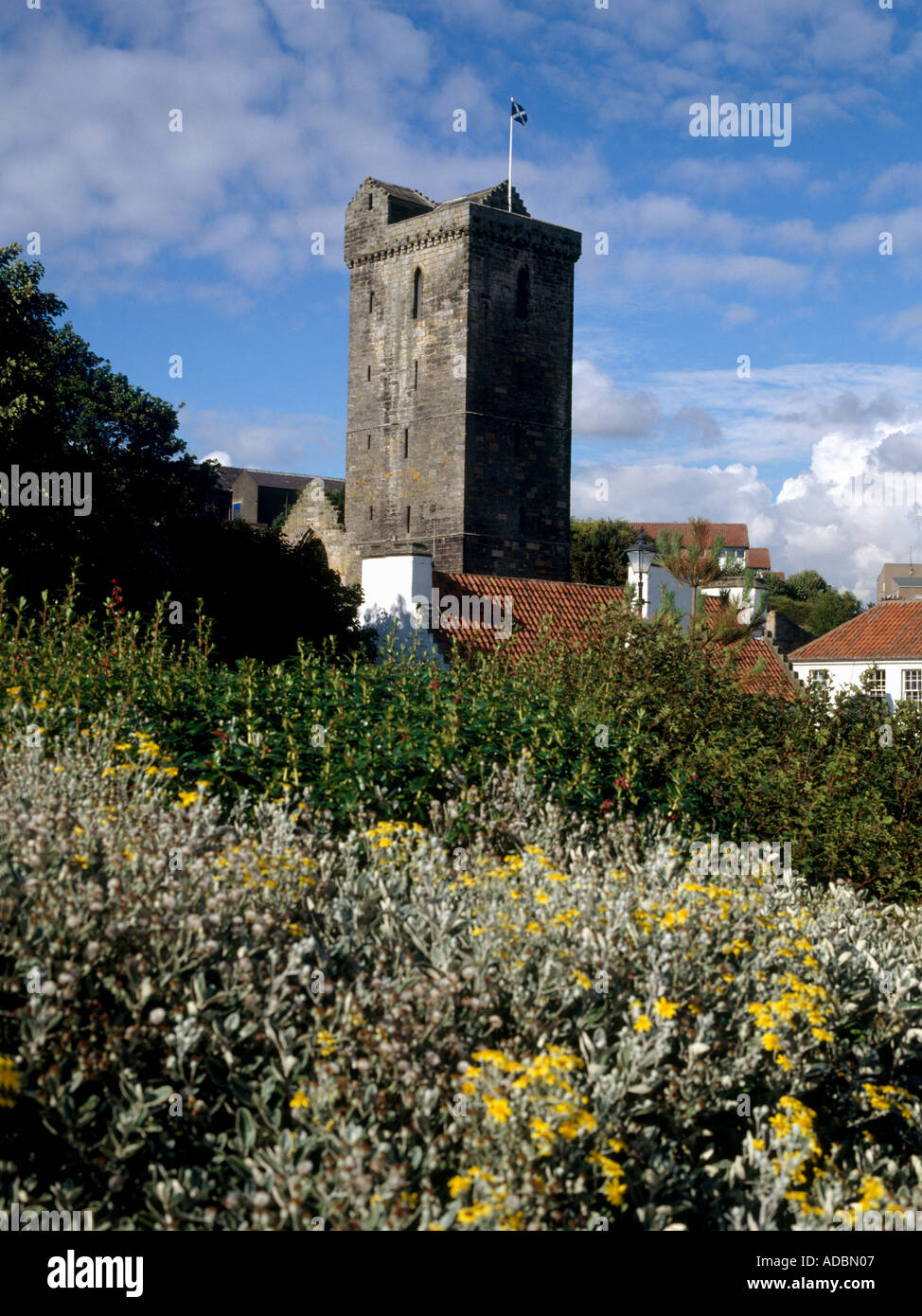 St serfs tower dysart hi-res stock photography and images - Alamy