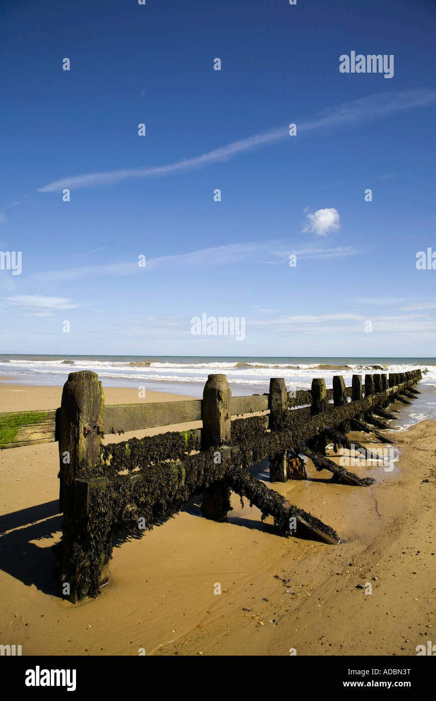 Coastal erosion The old wooden groynes of north norfolk Stock Photo - Alamy