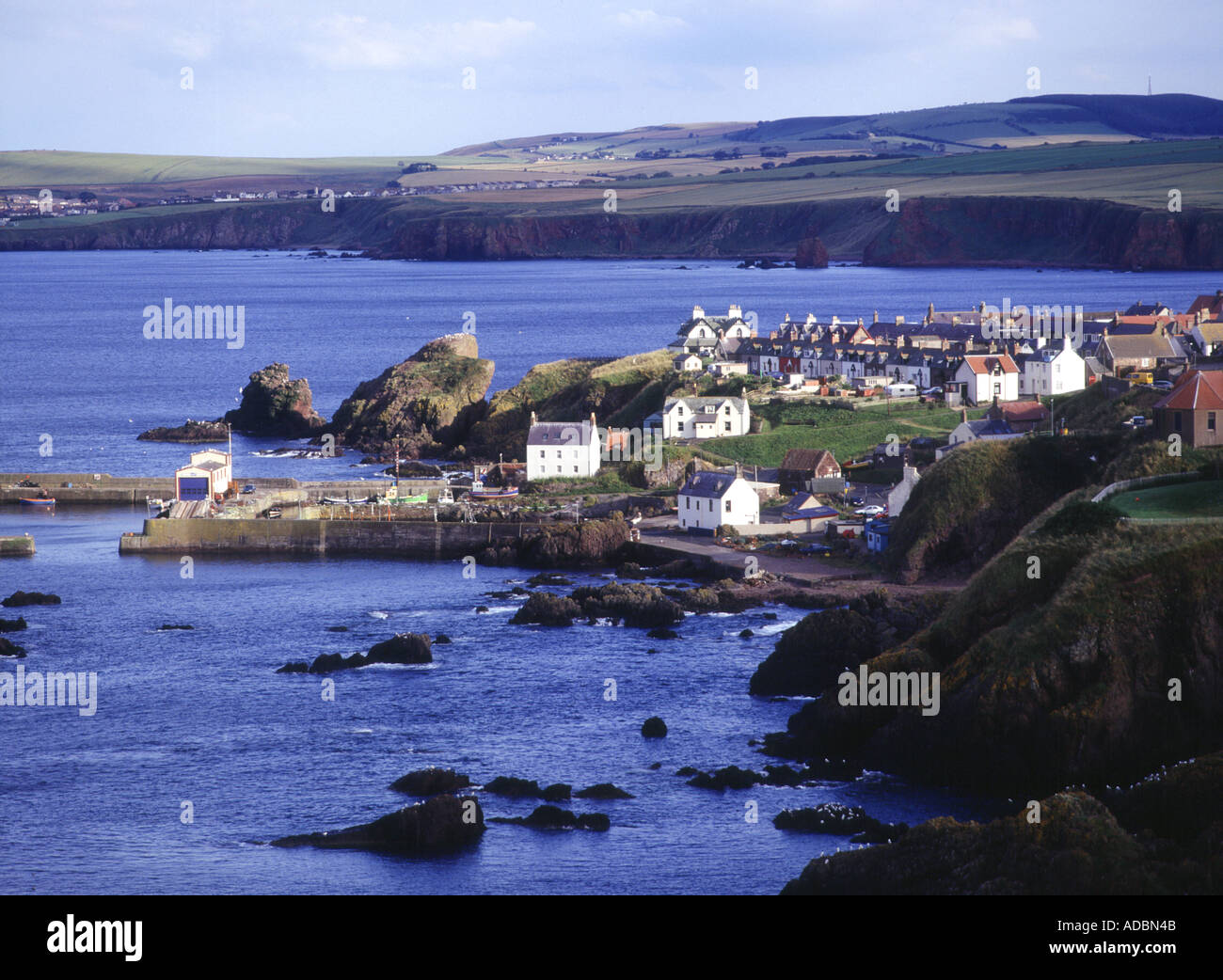 dh Harbour ST ABBS BORDERS Scottish fishing village houses on cliff ...
