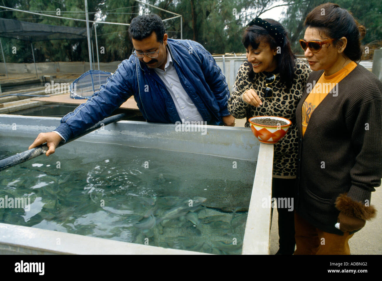 Kuwait Wafra Integrated Fish Farm In Desert Stock Photo - Alamy