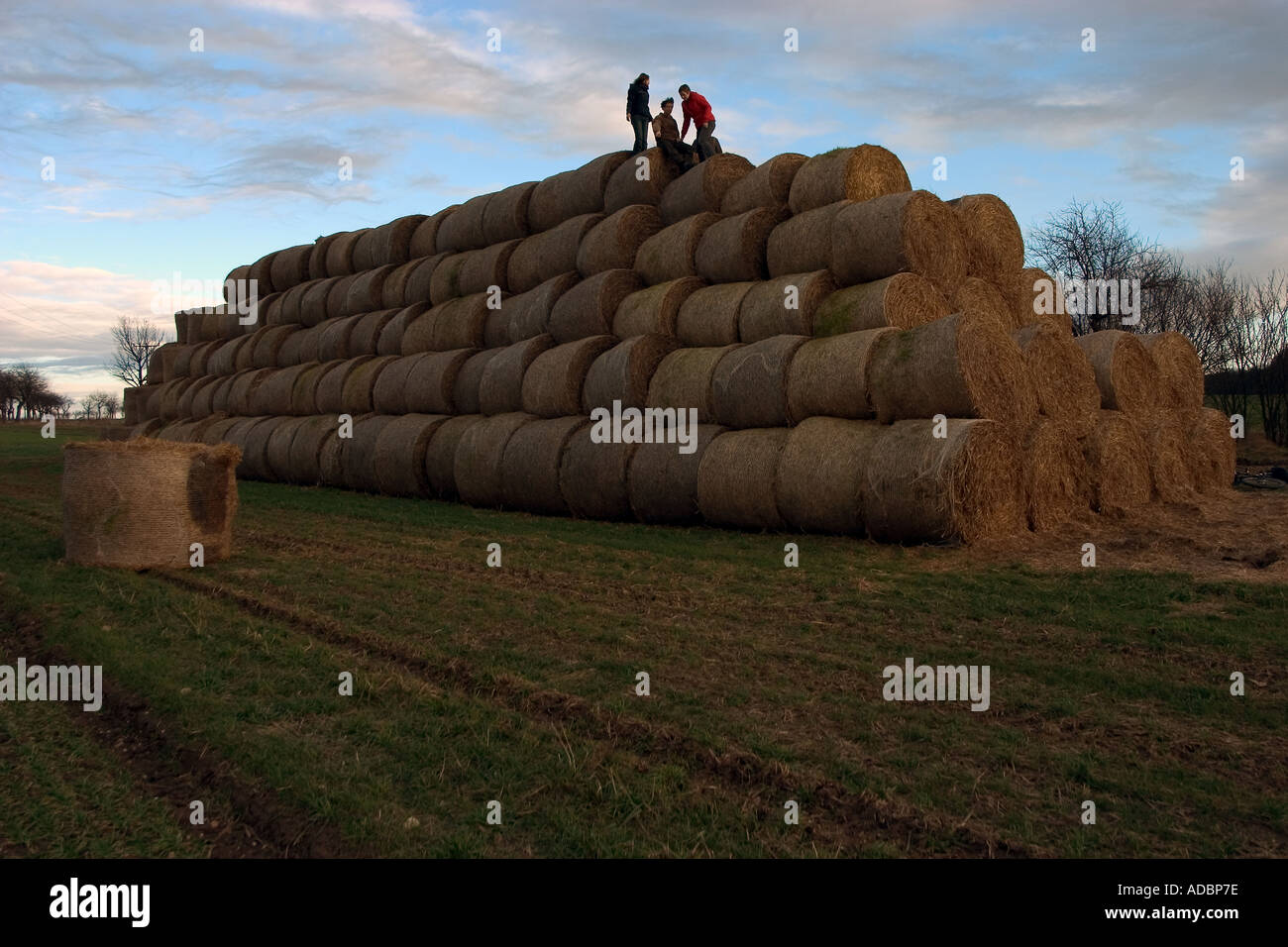 young people at top of a bale of straw pyramid Stock Photo - Alamy