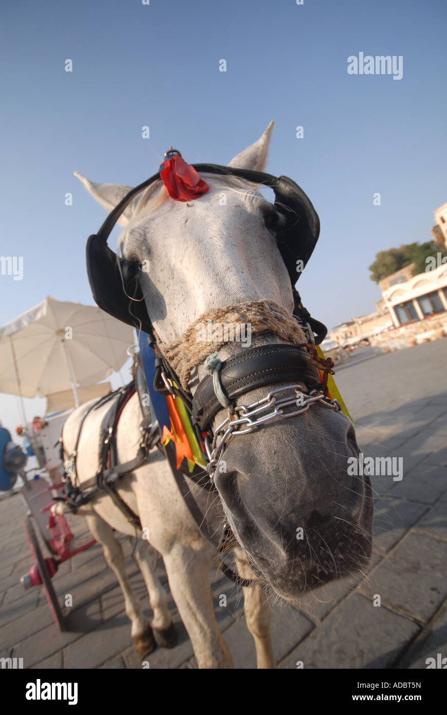 Carriage without horses hi-res stock photography and images - Alamy