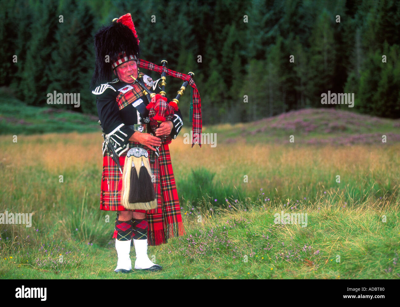 Scots piper hi-res stock photography and images - Alamy