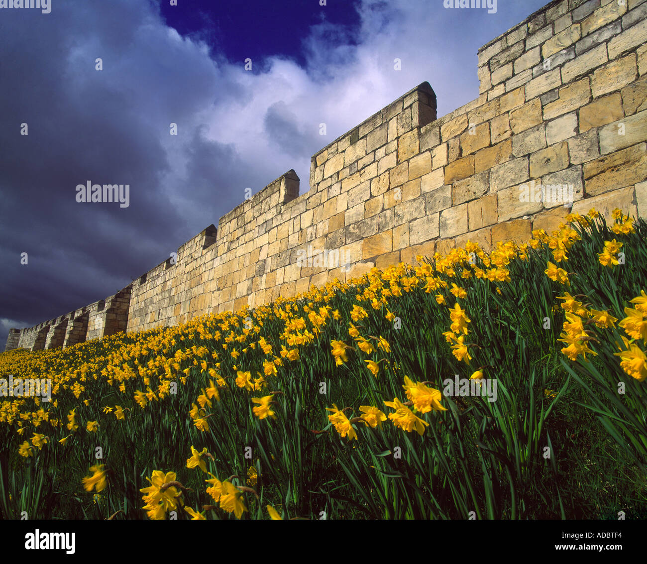 North of wall hi-res stock photography and images - Alamy