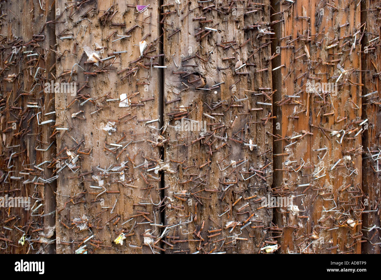 Staples rust rusty hi-res stock photography and images - Alamy