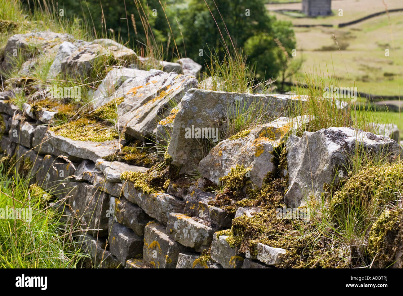 Yorkshire Dry Stone Wall Stock Photo - Alamy