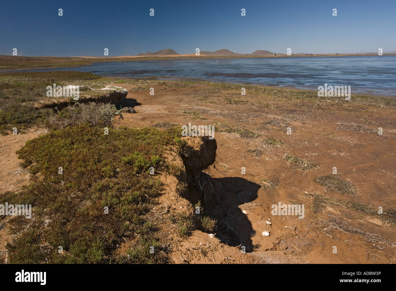 Bahia san quintin hi-res stock photography and images - Alamy