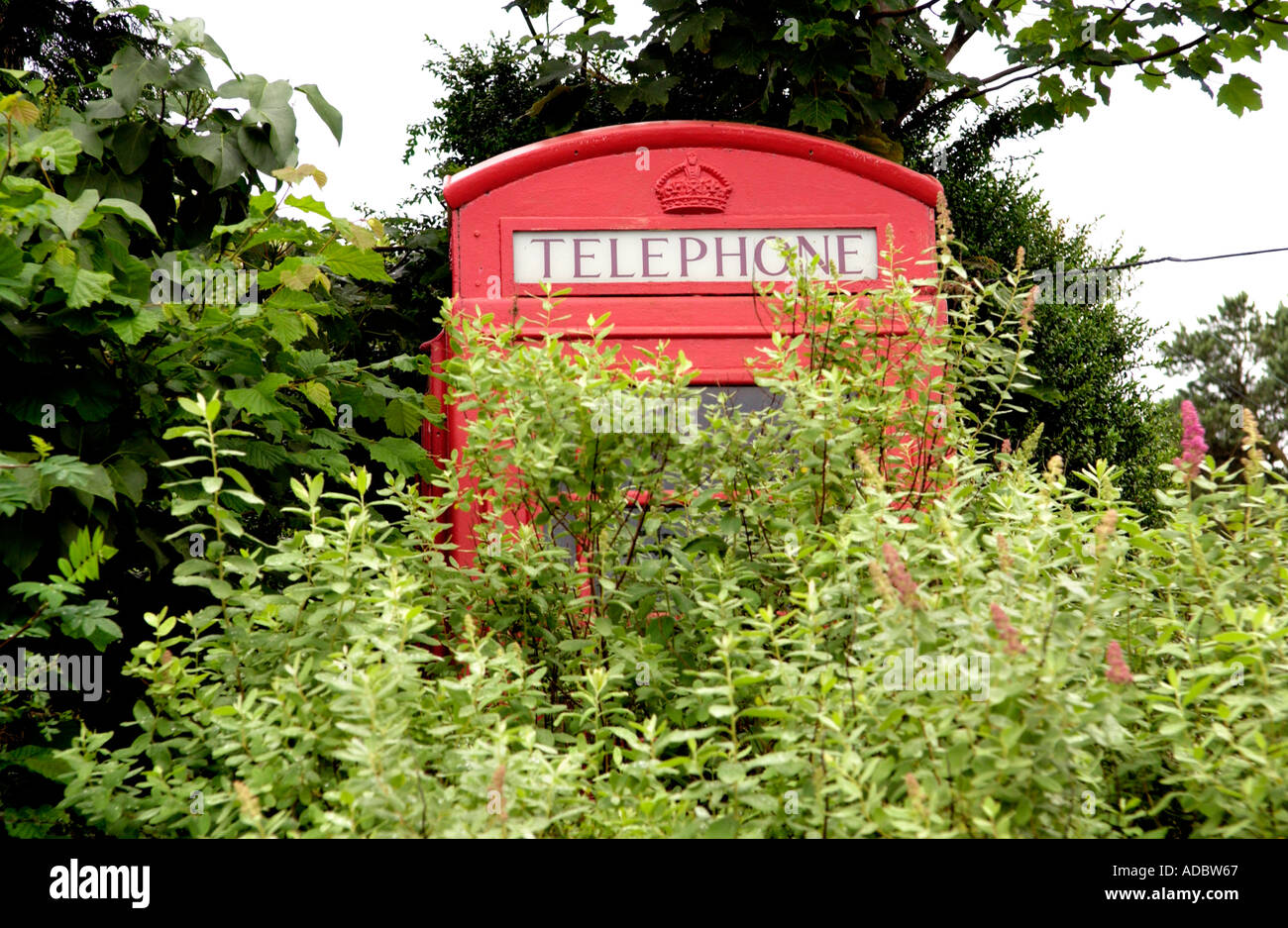 Phonebox overgrown hi-res stock photography and images - Alamy