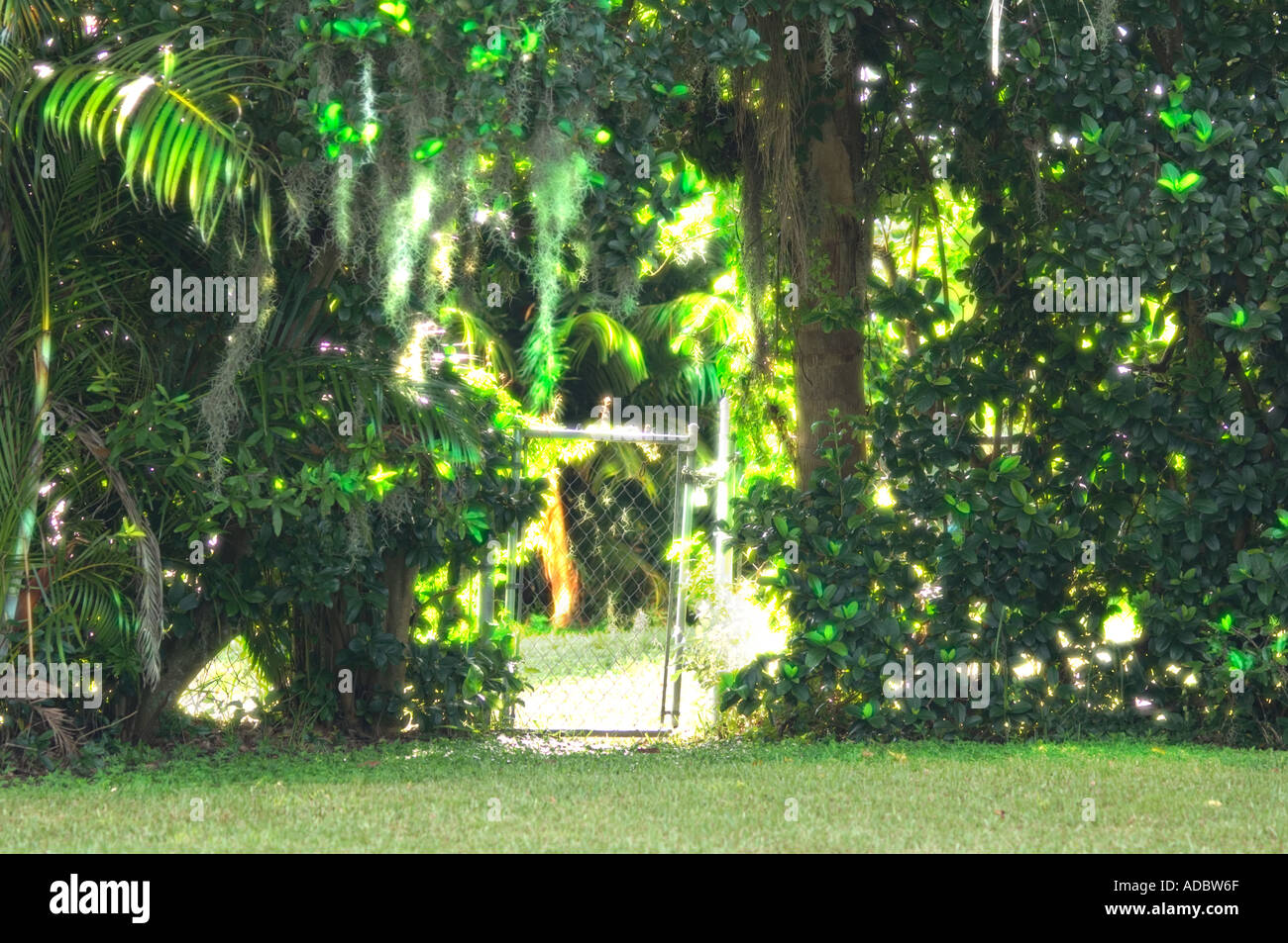 luminous outdoor tropical setting Stock Photo - Alamy