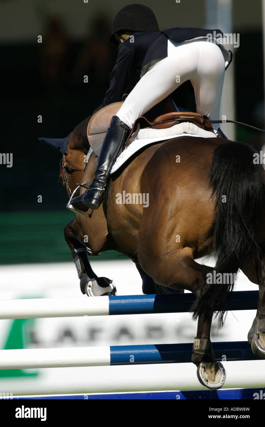 Rider jumps fence Stock Photo - Alamy