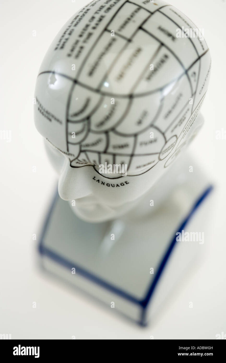 Phrenology chart hi-res stock photography and images - Alamy