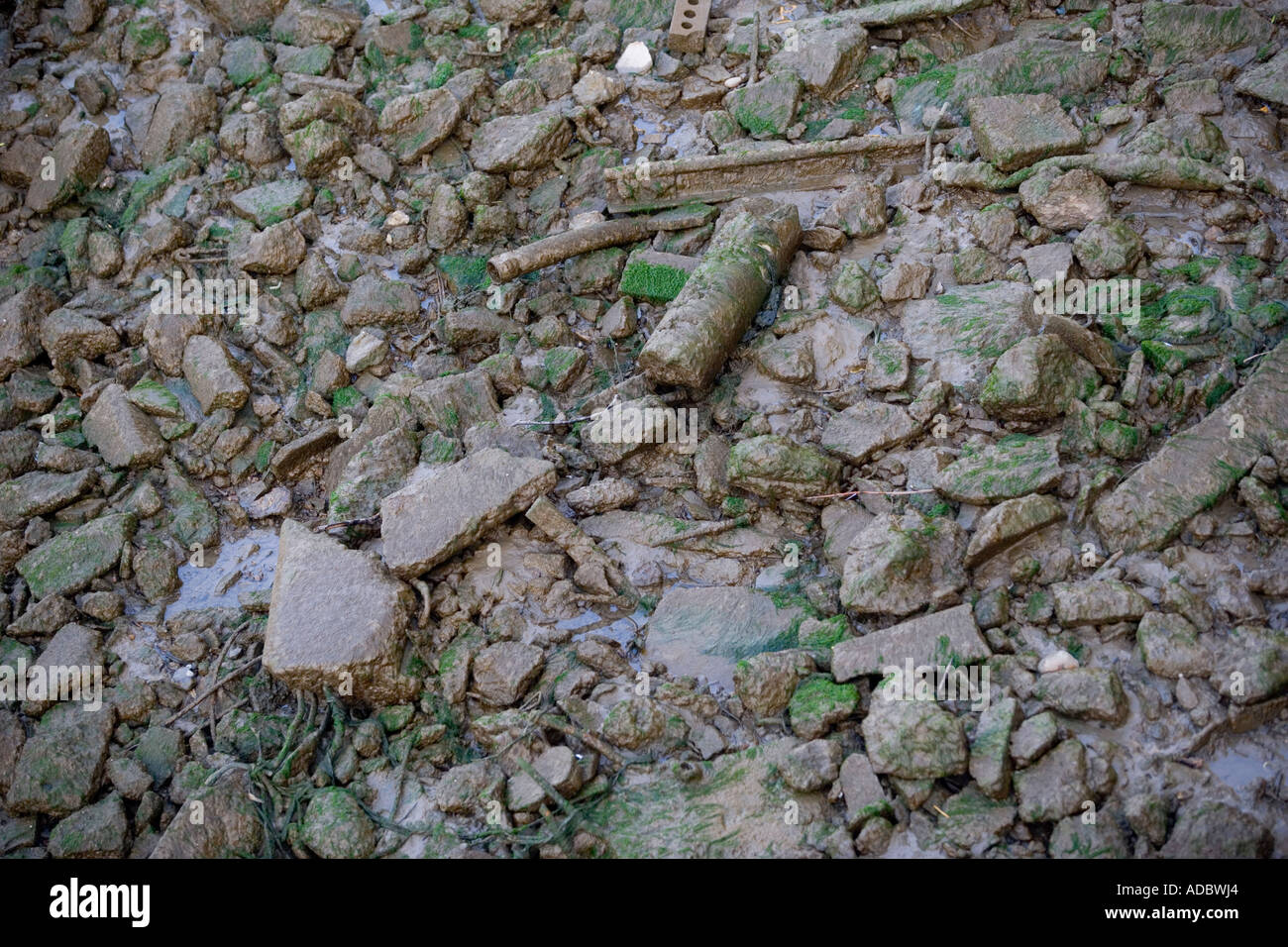 River thames pollution hi-res stock photography and images - Alamy