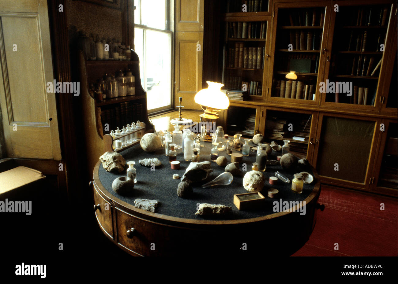 Charles darwins theory hi-res stock photography and images - Alamy